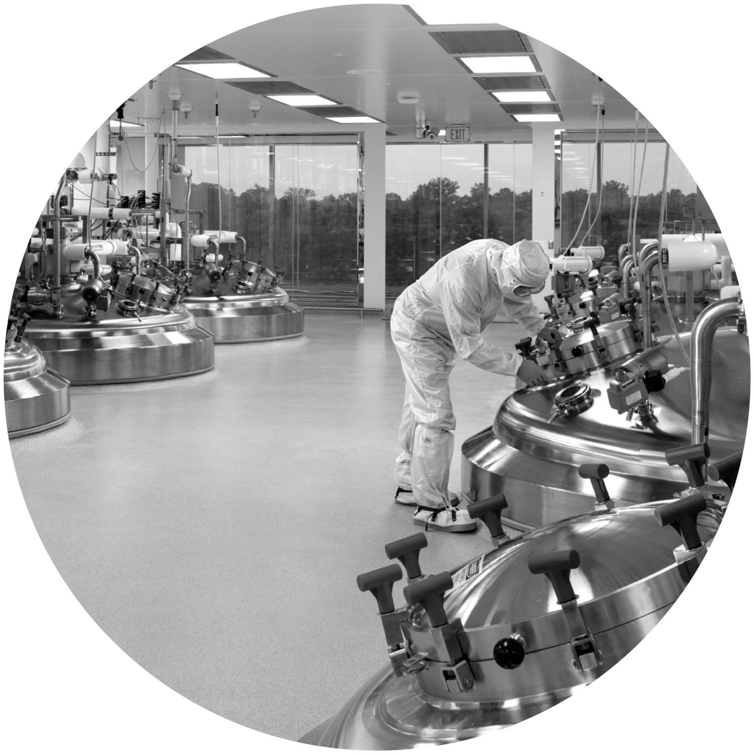 PLANT CELL EXTRACTION – Perpetuum Biotech